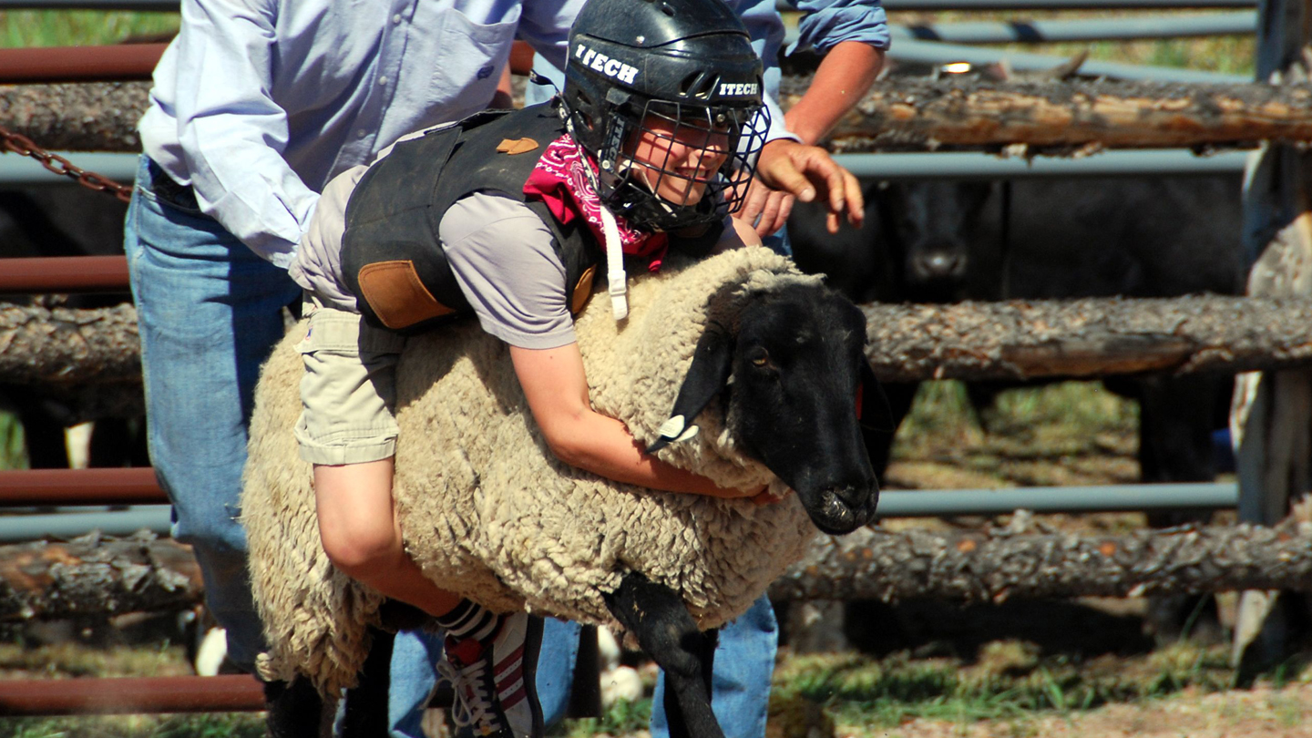 Lifestyle – Wildcat Ranch