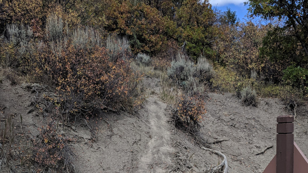 Gallery – Wildcat Ranch