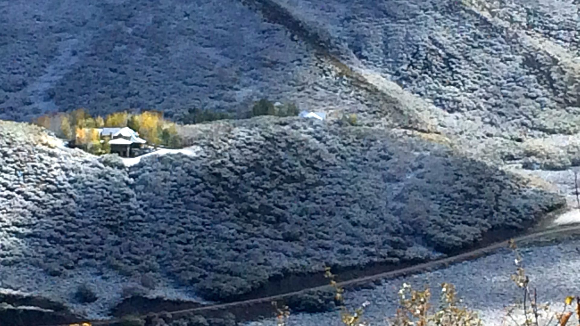 Gallery – Wildcat Ranch