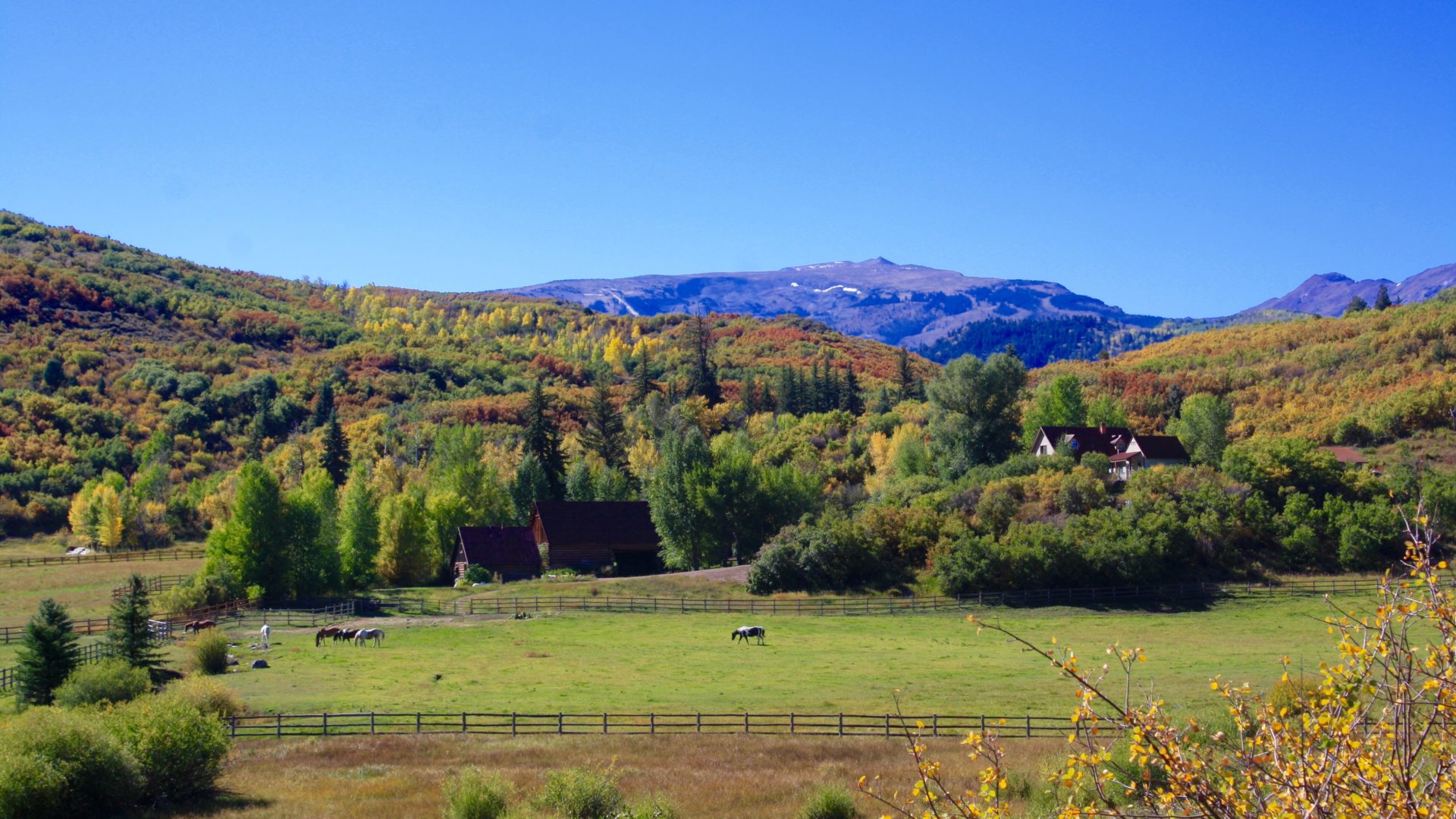 Gallery – Wildcat Ranch